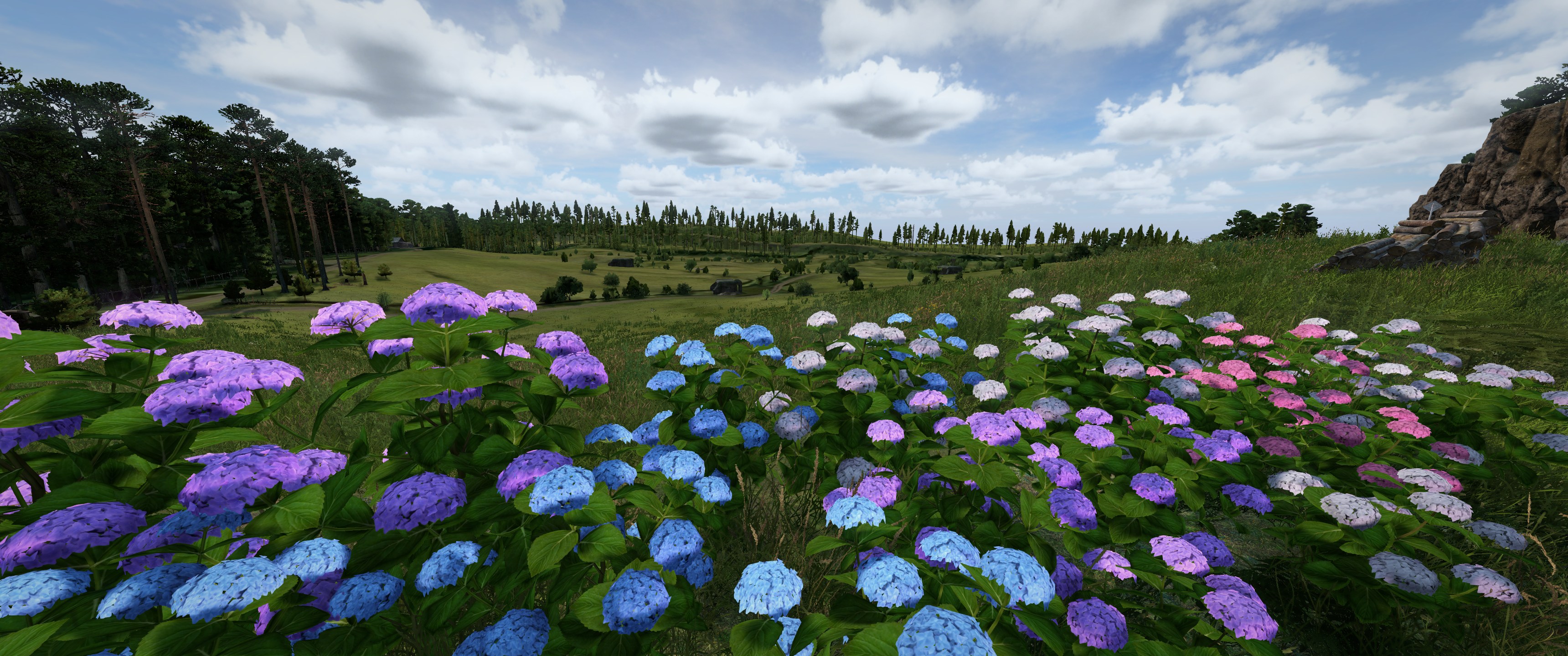 Azalea - DayZ Map | Play Now